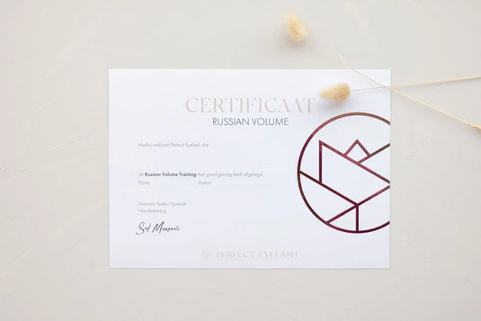 Learn Volume 2D - 6D Techniques – PE Cosmetics Global